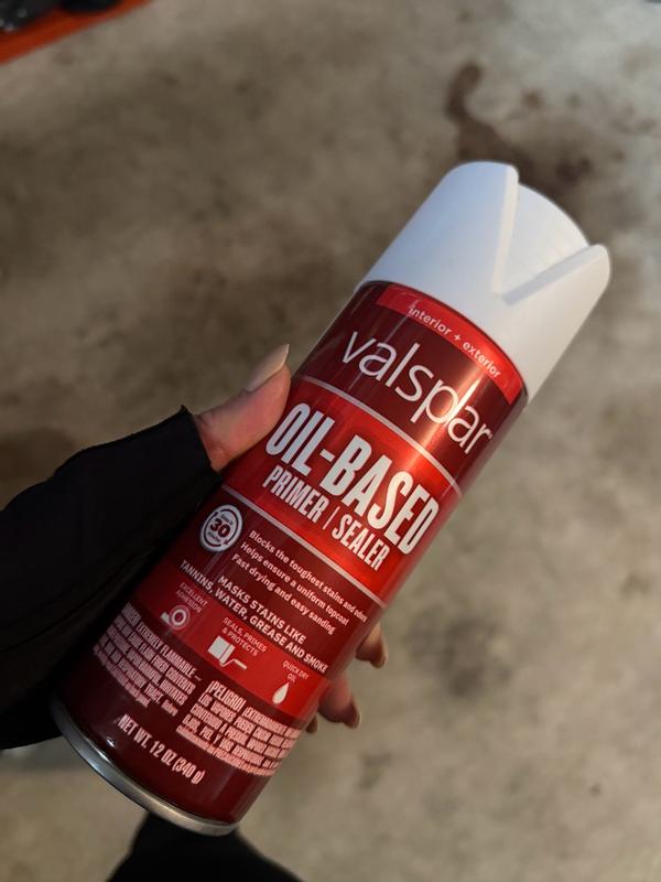 Valspar Interior/Exterior Multi-purpose Oil-based Wall and Ceiling ...
