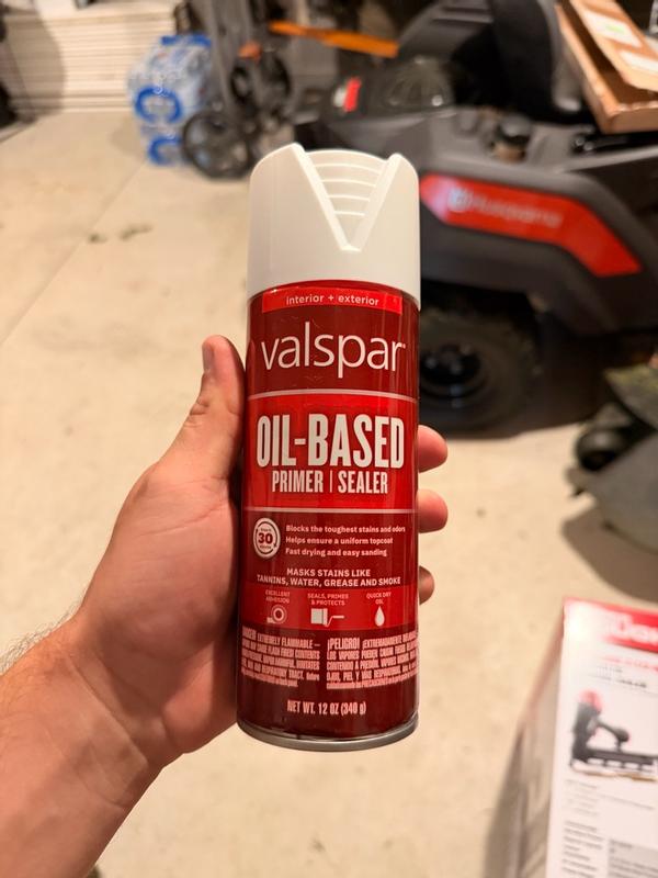 Valspar Interior/Exterior Multi-purpose Oil-based Wall and Ceiling ...