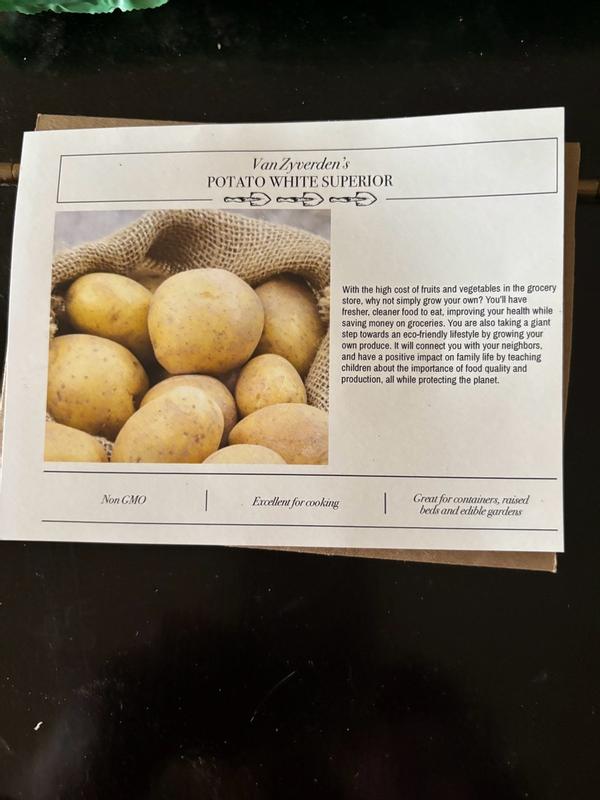 Van Zyverden 12 -Pack Potatoes Superior White Plant in Bulb in the ...