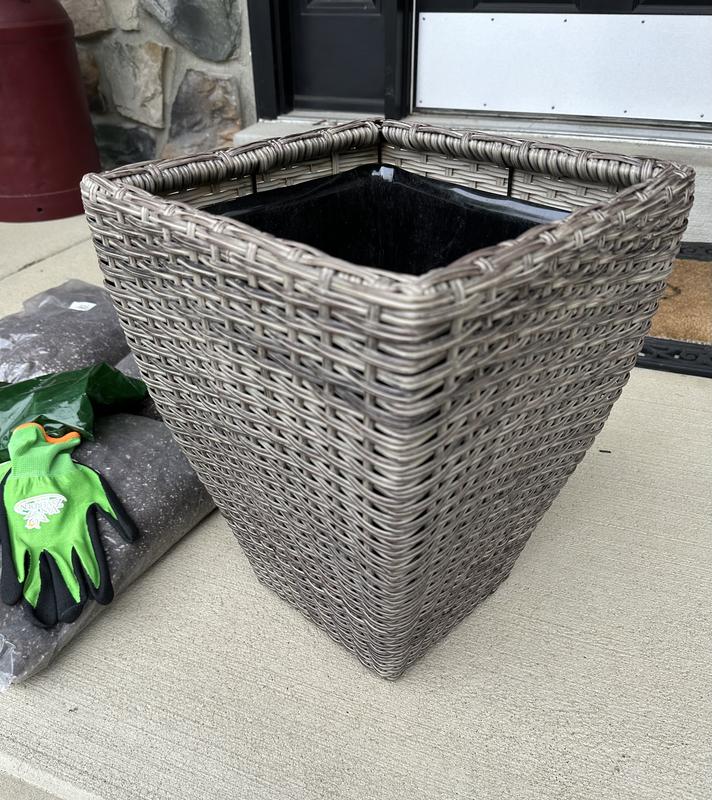 Van Zyverden America Astilbe Patio Plant Kit with Decorative Rattan ...