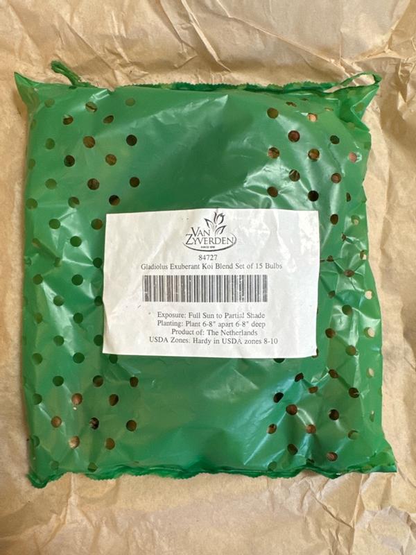 Van Zyverden Multicolor Gladiolus Exuberant Koi Bulbs 15 Count in the Plant Bulbs department at ...