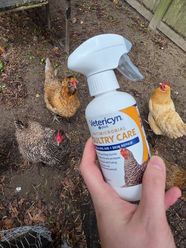 Vetericyn Plus Antimicrobial Poultry Care Spray, 8 oz. at Tractor Supply Co