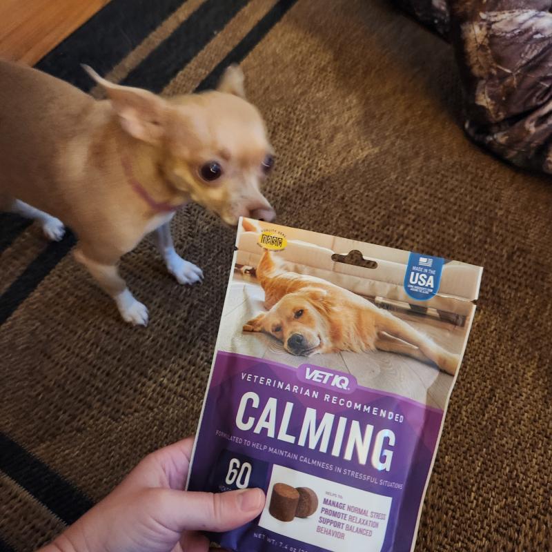 VetIQ Soft Chewable Calming Supplements for Dogs, Hickory Smoke Flavor ...
