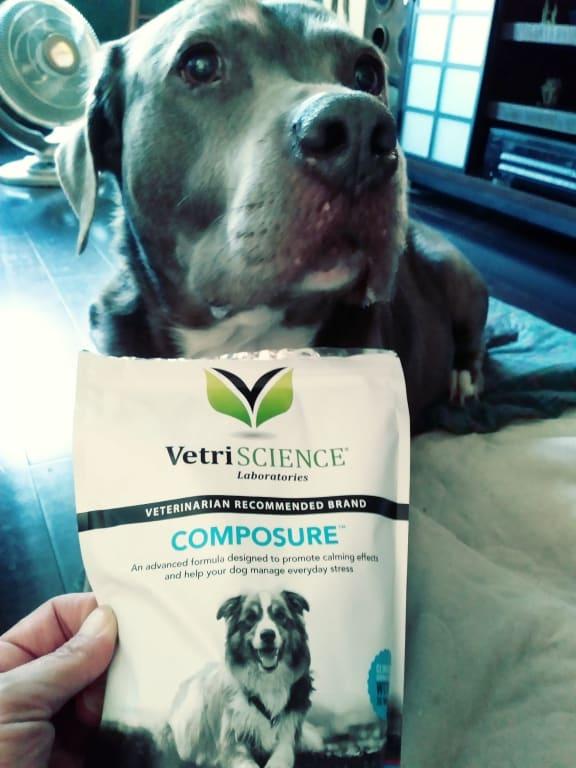 VetriScience Composure Dog Calming Chews, Count of 60 | Petco
