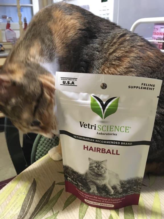 VetriScience Hairball Supplement Bite-Sized Chews for Cats, 60 ct. at ...