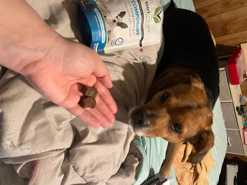 VetriScience Vetri Probiotic BD Tablets for Dogs, Count of 120 | Petco