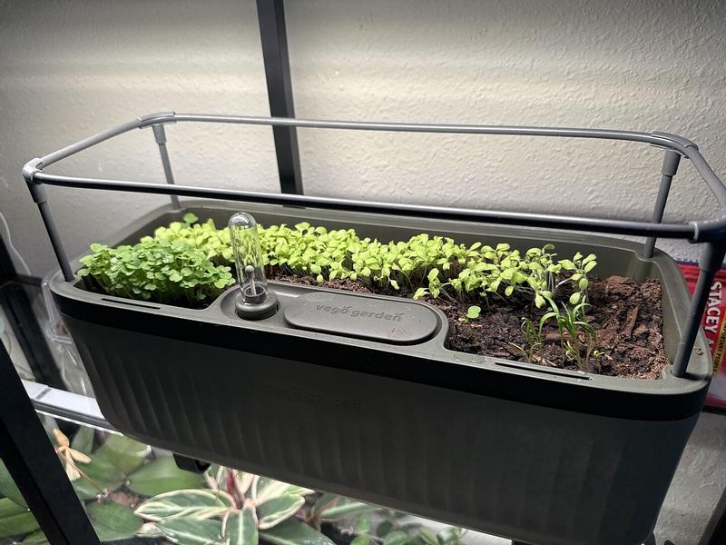Vego Garden Rectangle 7.3-in W x 17.5-in L White Recycled plastic ...