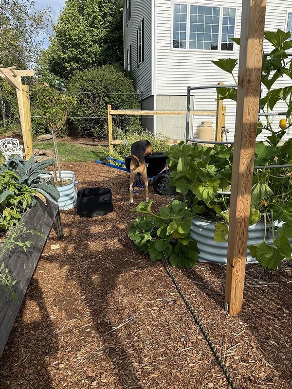 Vego Garden 17-cu ft 42-in W x 42-in L x 17-in H Pearl White Galvanized ...