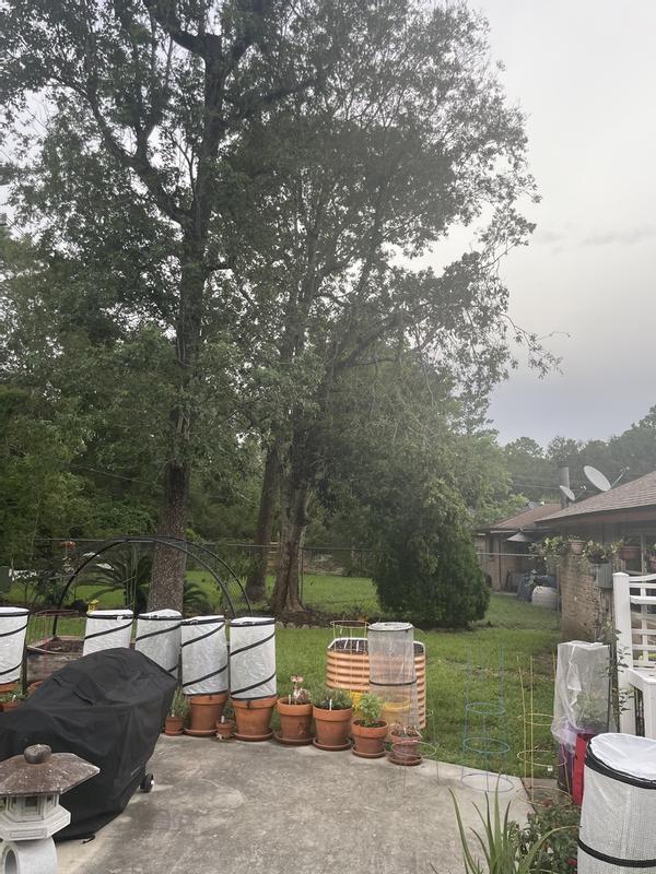 Vego Garden 33-cu ft 42-in W x 42-in L x 32-in H Pearl White Galvanized ...