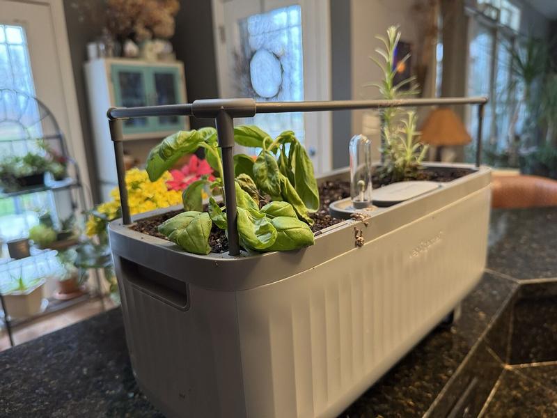 Vego Garden Rectangle 7.3-in W x 17.5-in L Gray Recycled plastic Indoor ...