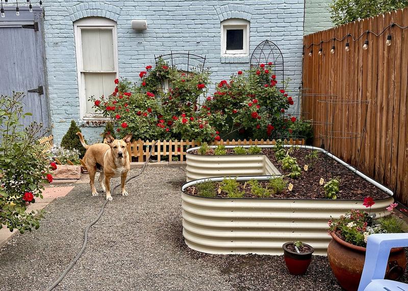 Vego Garden 51-cu ft 66-in W x 102-in L x 17-in H Olive Green ...