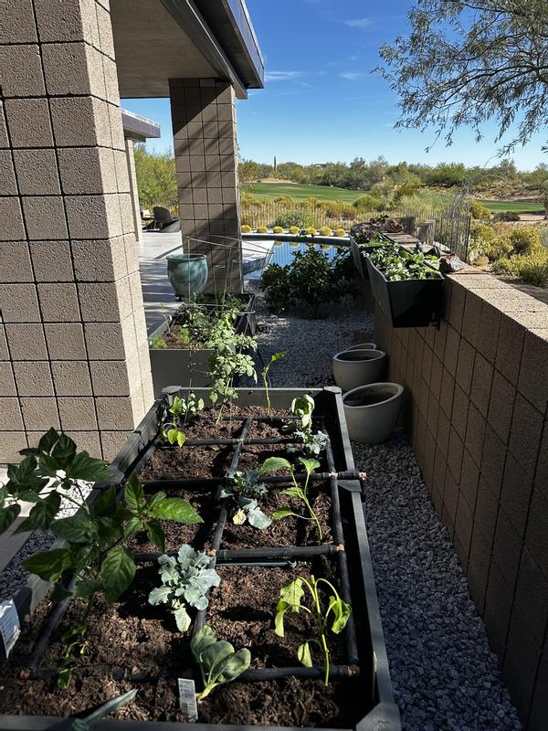 Vego Garden 27-cu ft 27-in W x 53-in L x 32-in H Umber Brown Galvanized ...