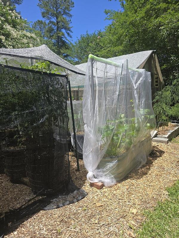 Vego Garden 25-cu ft 42-in W x 60-in L x 17-in H Sky Blue Galvanized ...