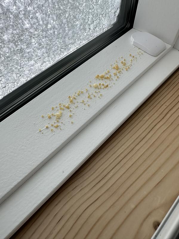 VELUX 21-in x 45-3/4-in Fixed Deck mount Aluminum Skylight with ...