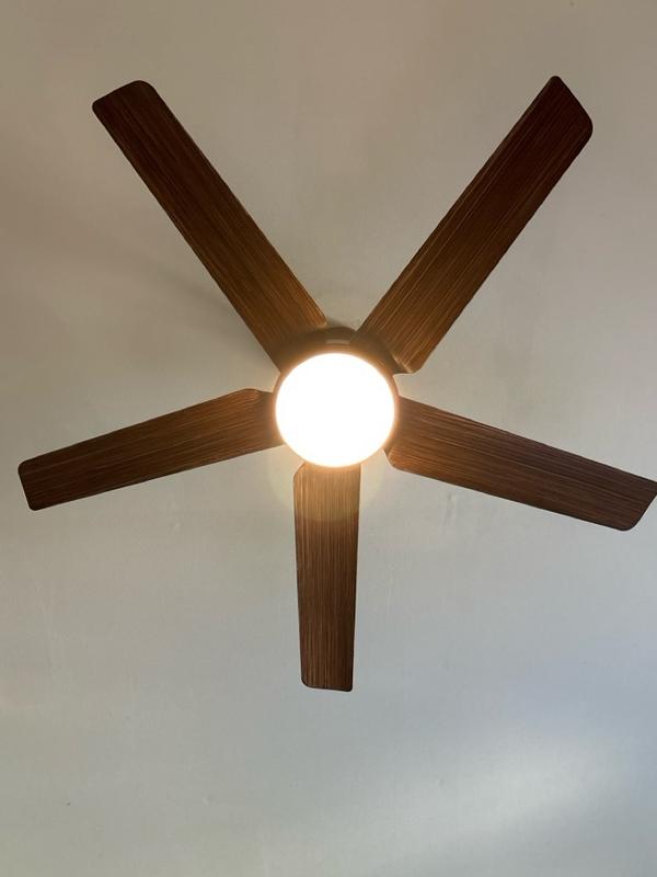 YUHAO Libertay 48-in Black with Distressed Blades Color-changing ...