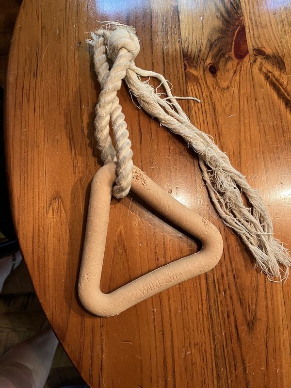 Wild One Small Pink Triangle Tug & Chew Dog Toy