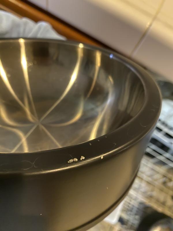 Wild One Black Stainless Steel Dog Bowl | Petco