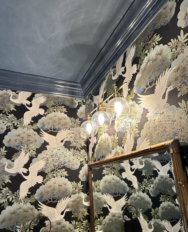 York Wallcoverings Ronald Redding Designs Tea Garden 60.8-sq ft Black ...