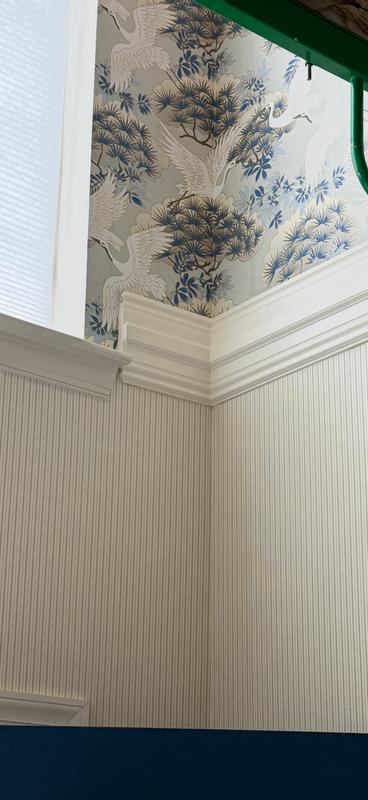 York Wallcoverings Ronald Redding Designs Tea Garden 60.8-sq ft Yellow ...