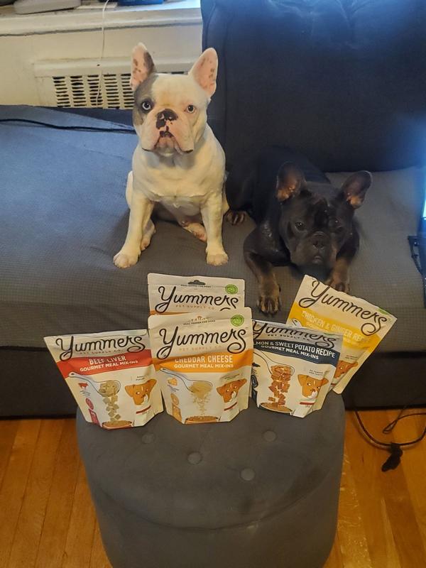 Yummers Salmon & Sweet Potato Tender Morsels Dog Food Topper, 5 oz. | Petco