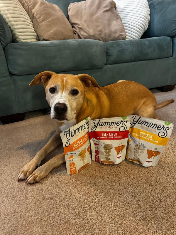 Yummers Freeze-Dried Chicken Breast Dog Food Topper, 2.5 oz. | Petco