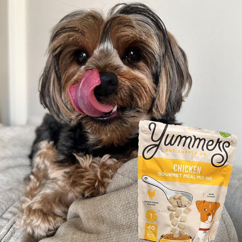 Yummers Freeze-Dried Chicken Breast Dog Food Topper, 2.5 oz. | Petco