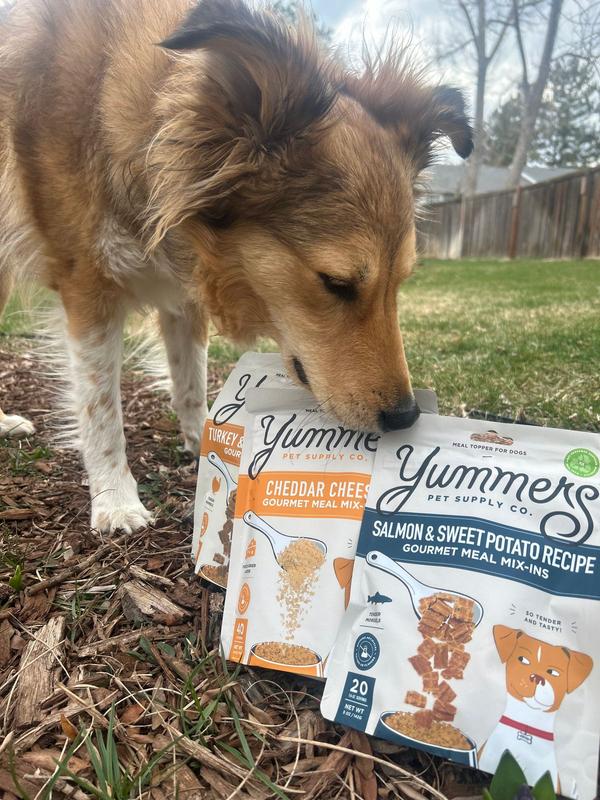 Yummers Freeze-Dried Cheddar Cheese Dog Food Topper, 2.5 oz. | Petco