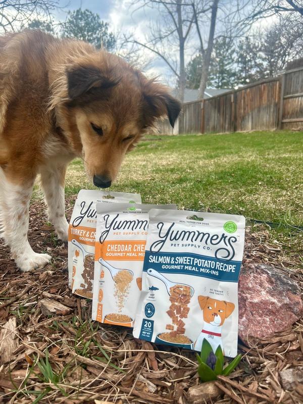 Yummers Turkey & Cranberry Tender Morsels Dog Food Topper, 5 oz. | Petco