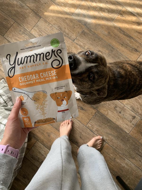 Yummers Freeze-Dried Cheddar Cheese Dog Food Topper, 2.5 oz. | Petco