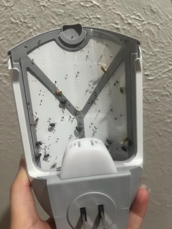 Zevo Flying Insect Trap, Fly Trap Refill Cartridges (2 Cartridges ...