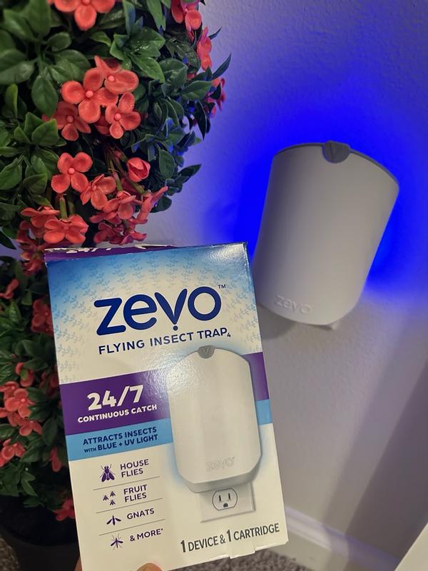 Shop Zevo Zevo Indoor Insect Trap and Refills at Lowes.com