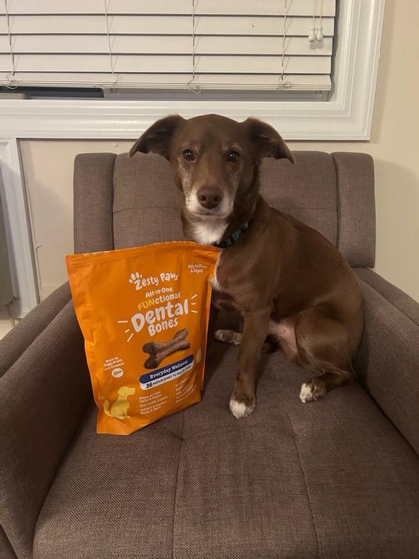 Zesty Paws All-in-One Functional Dental Bone Dog Treats, Count of 8 ...