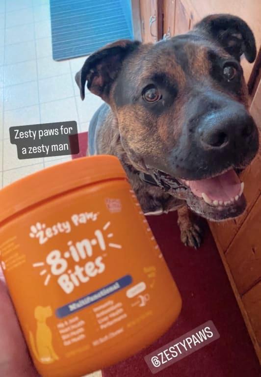 Zesty Paws Chicken 8-in-1 Multivitamin Bites for Dogs, 11.1 oz., Count ...