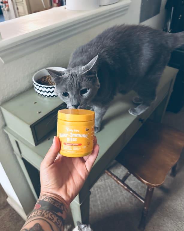 Zesty Paws Bacon Allergy & Immune Bites for Cats, Count of 60 | Petco