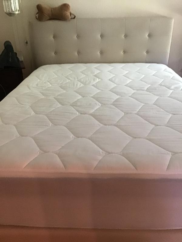 Zinus 10-in Queen Pocketed Coil Spring Mattress in a Box GHO-MIPIO-10Q ...
