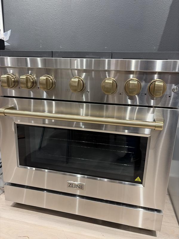 ZLINE KITCHEN & BATH Paramount 30-in Deep recessed 4 burners Convection ...
