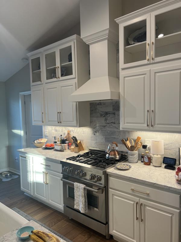 ZLINE KITCHEN & BATH Legacy 30-in Deep Recessed 4 Burners Convection ...