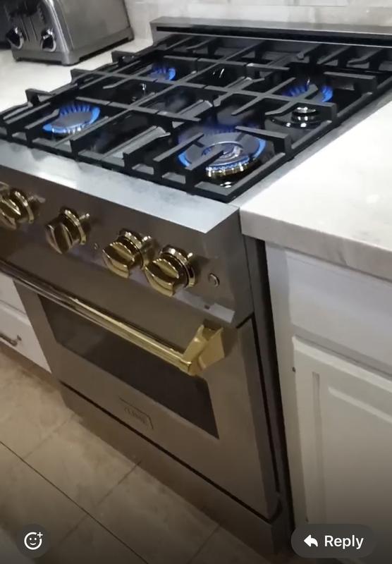 ZLINE KITCHEN & BATH Paramount 48-in 4.2-cu ft / 2.5-cu ft Convection ...