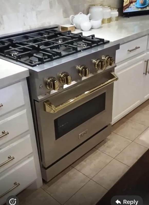 ZLINE KITCHEN & BATH Paramount 48-in 4.2-cu ft / 2.5-cu ft Convection ...