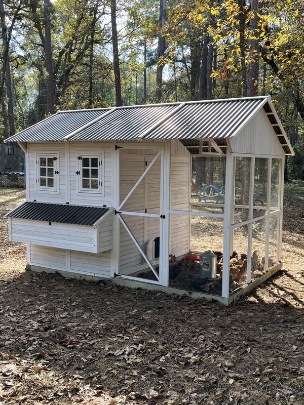 Zylina Modern Chicken Barn, 20 Chicken Capacity at Tractor Supply Co